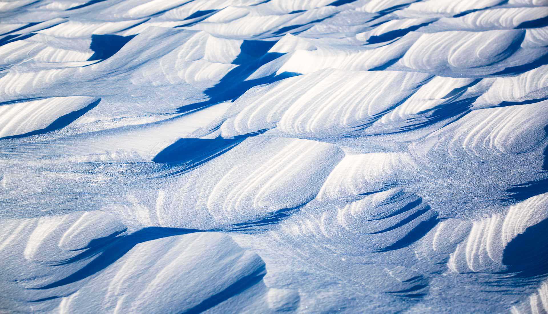 Welcome to the OHT website